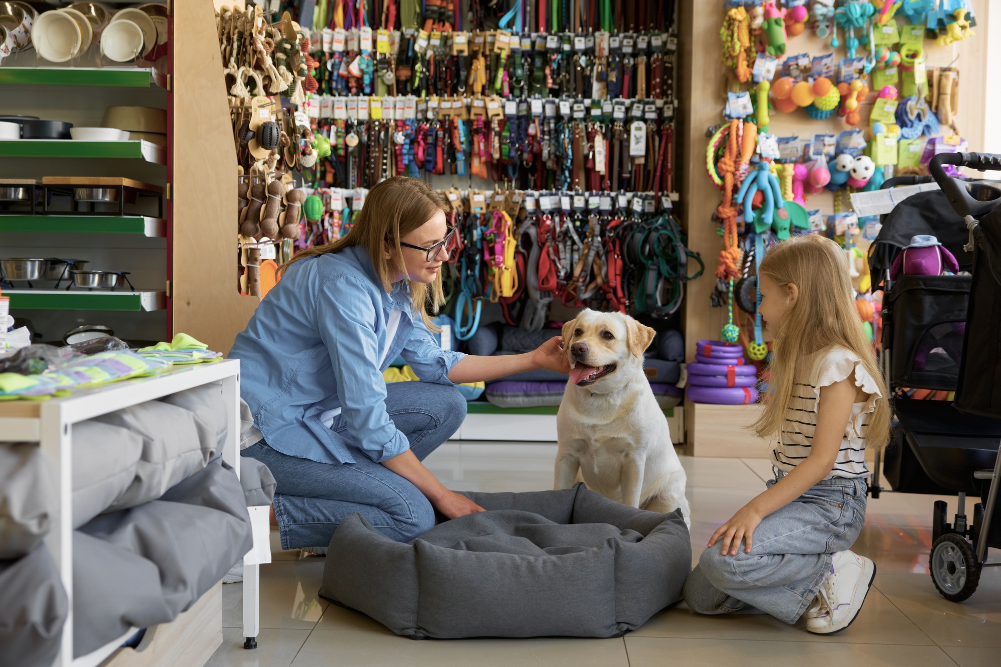 Comment choisir le bon magasin pour animaux près de chez vous ou en ...